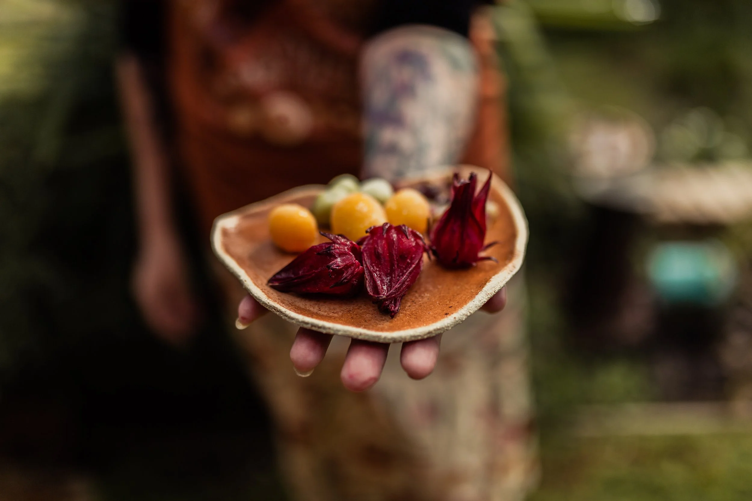 Meez on Plus - Catering across the Adelaide Region — SA Urban Food Network