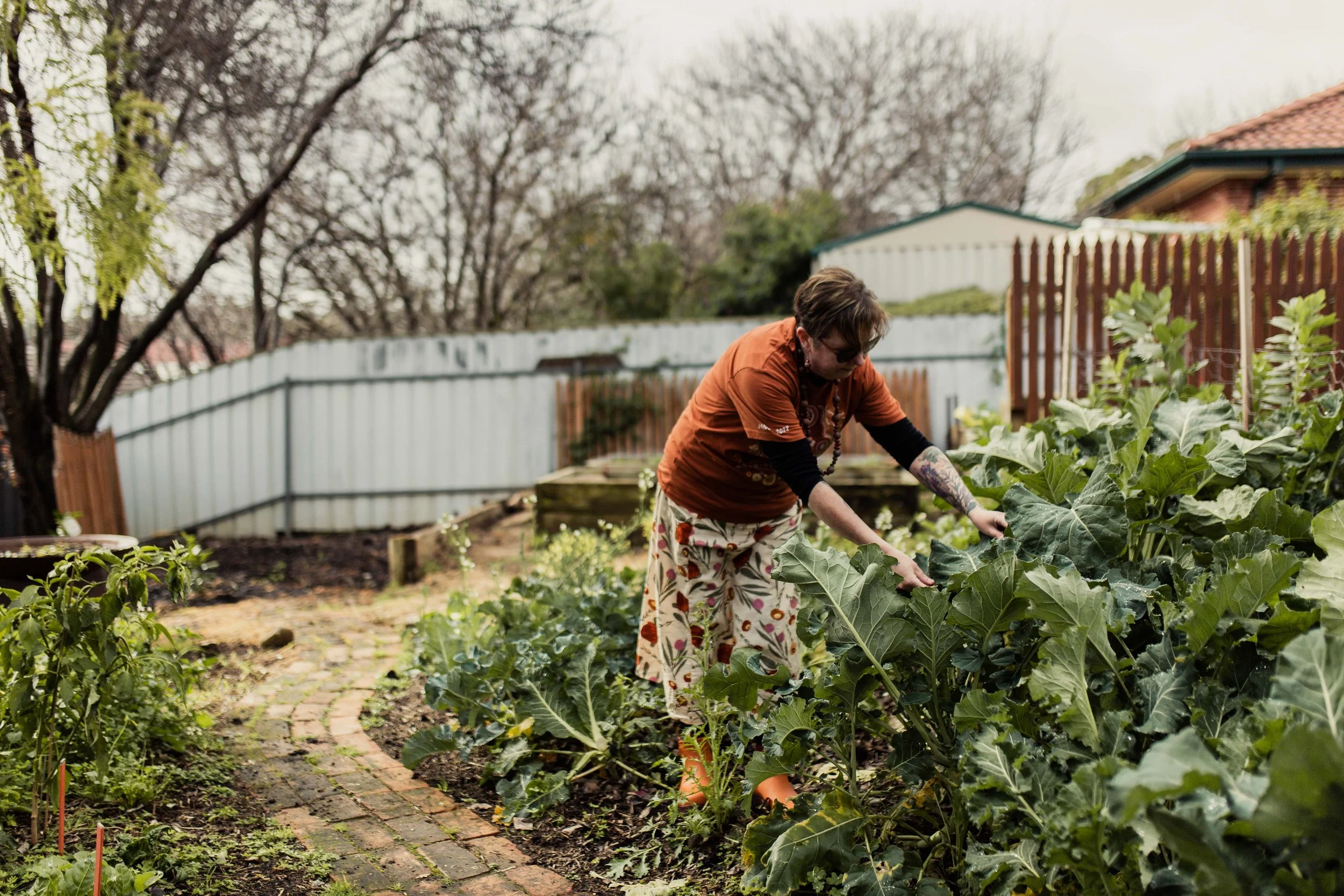 Meez on Plus - Catering across the Adelaide Region — SA Urban Food Network