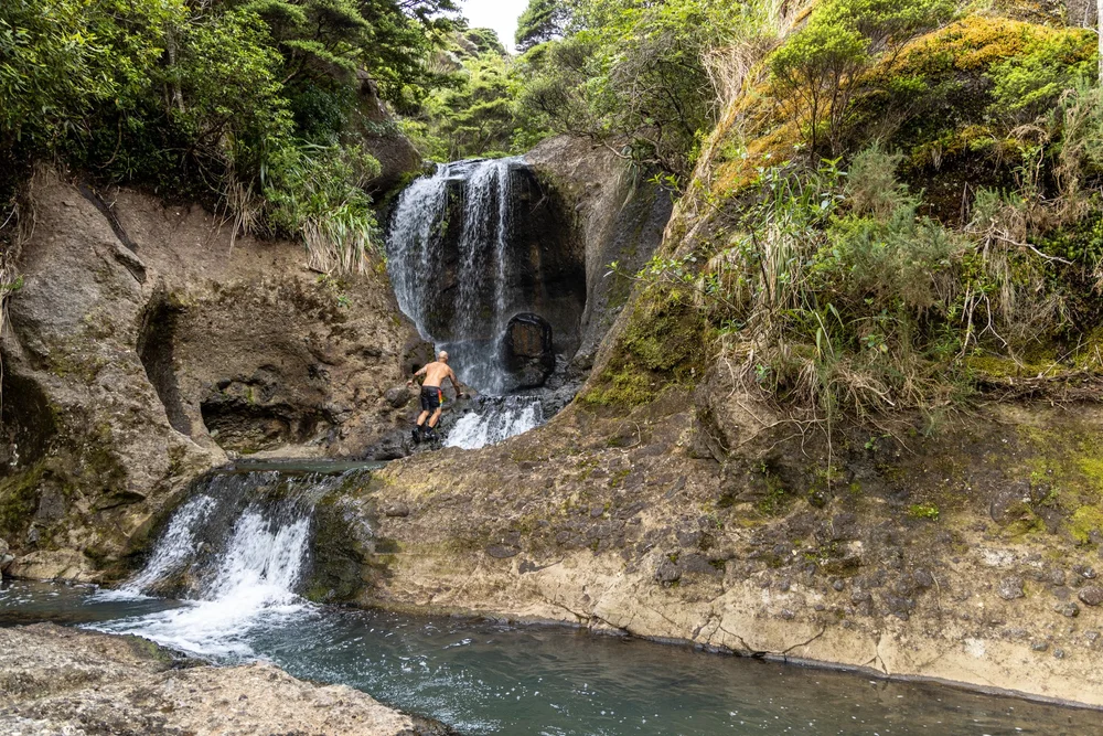 Contact Us | Te Kaiarahi