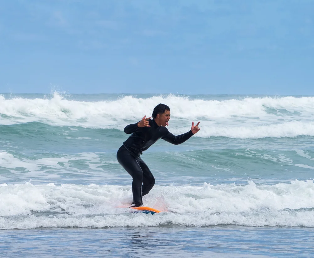 Te Kaiarahi