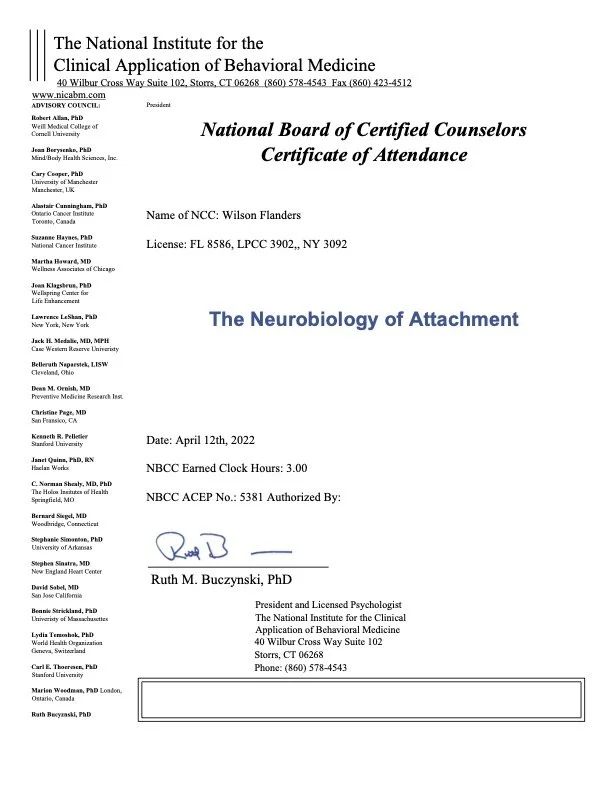 Wilson Bezerra- Flanders Psychotherapy