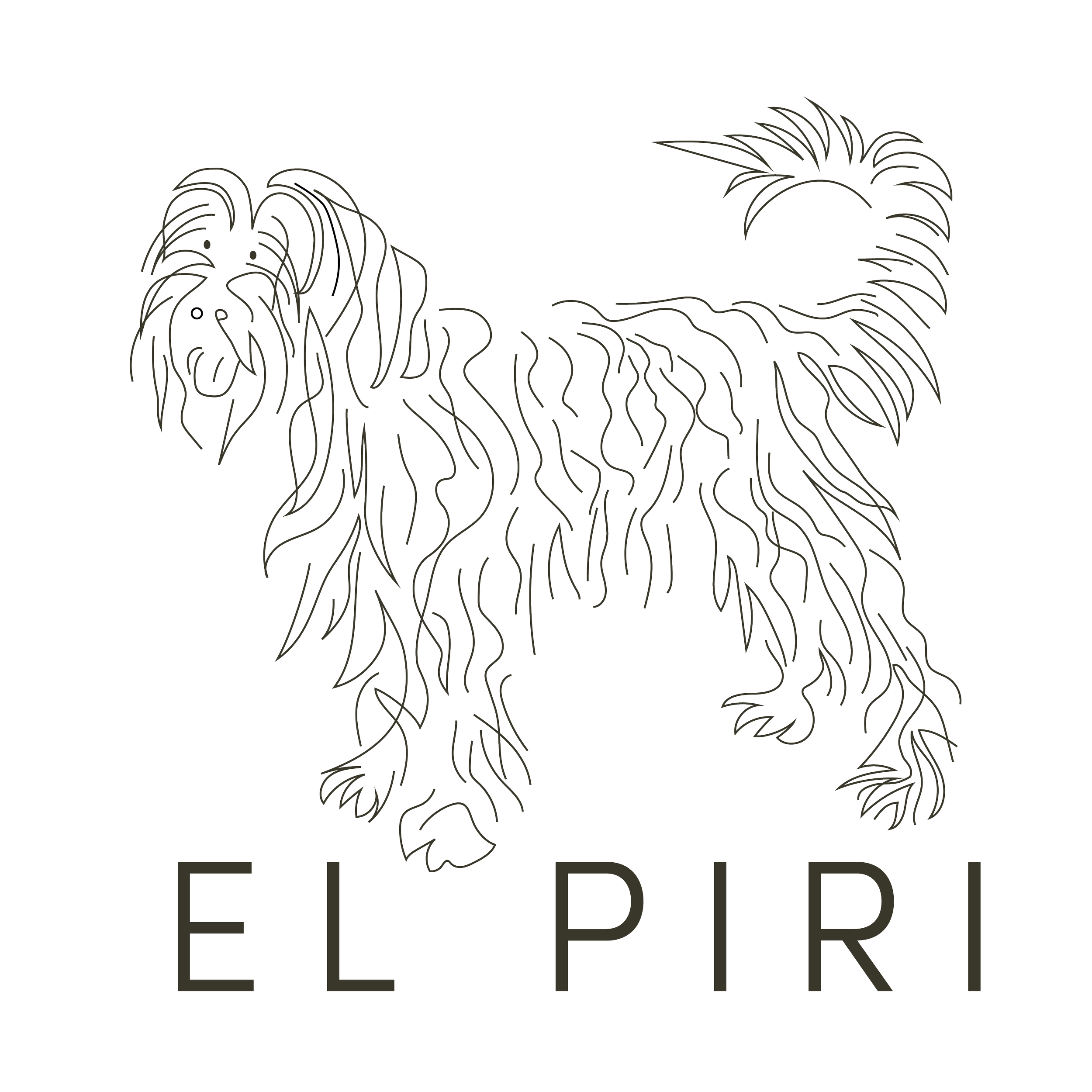 El Piri 2025 — L'ESPERIT DEL BIKEPACKING