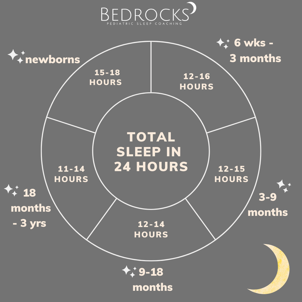 The Truth About The 12-Hour Night — Stephanie Fischer