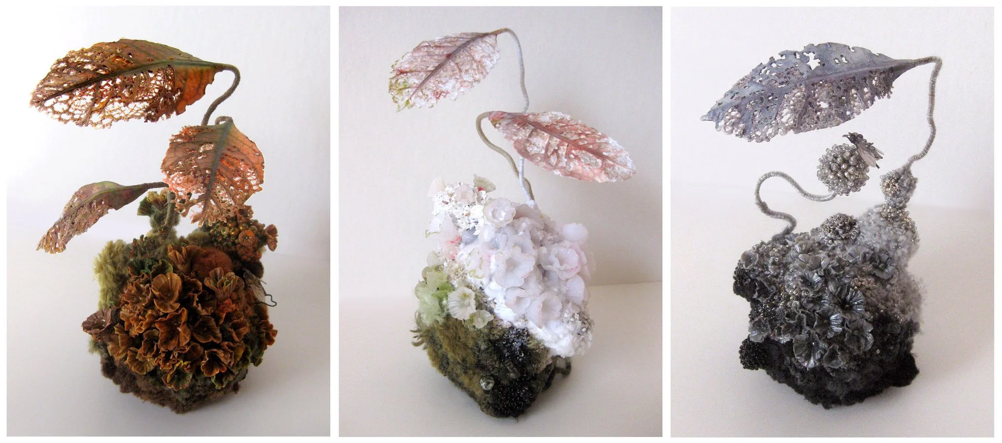 Collections — Amy Gross