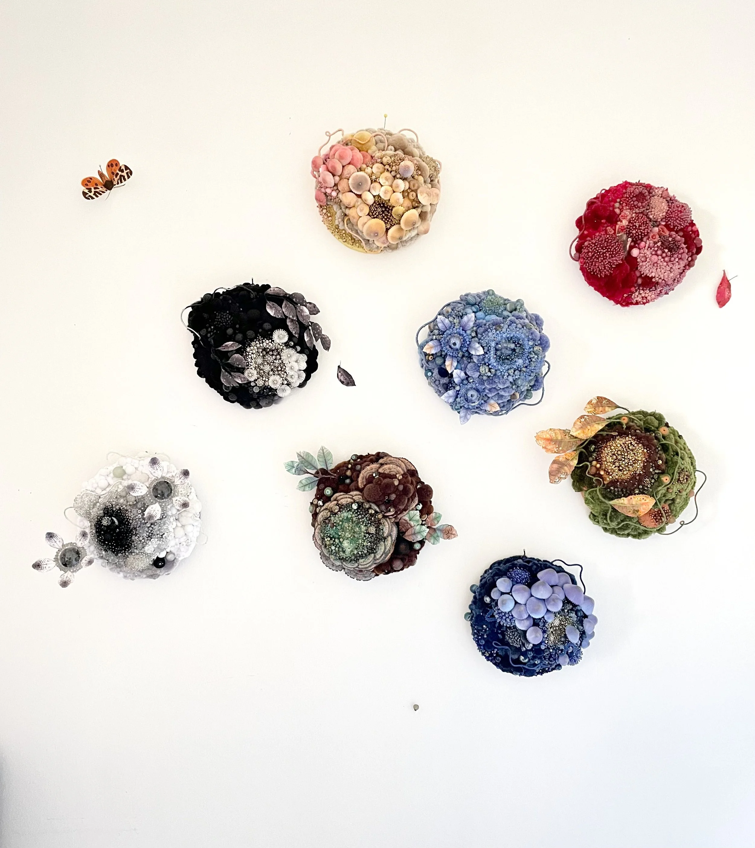 Collections — Amy Gross