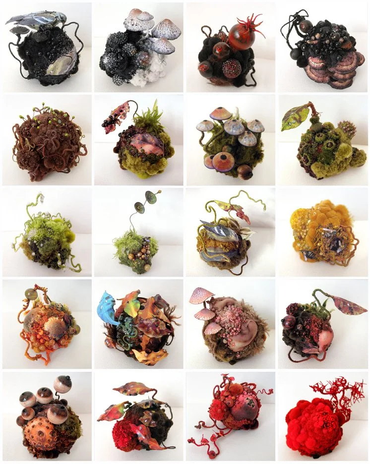 Collections — Amy Gross