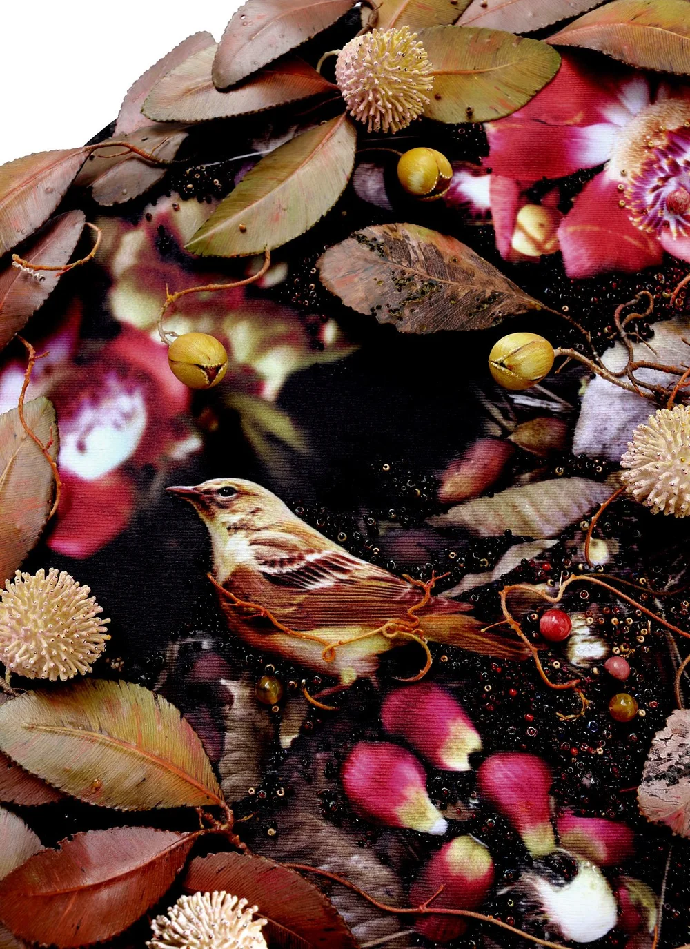 Canvas — Amy Gross