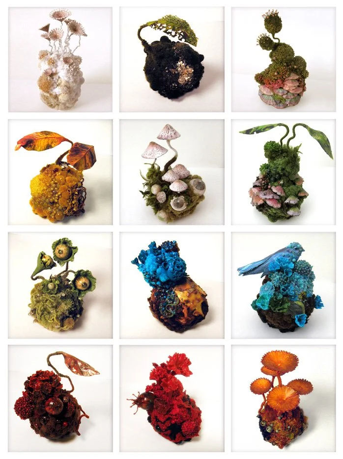 Collections — Amy Gross