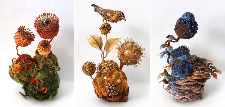 Collections — Amy Gross