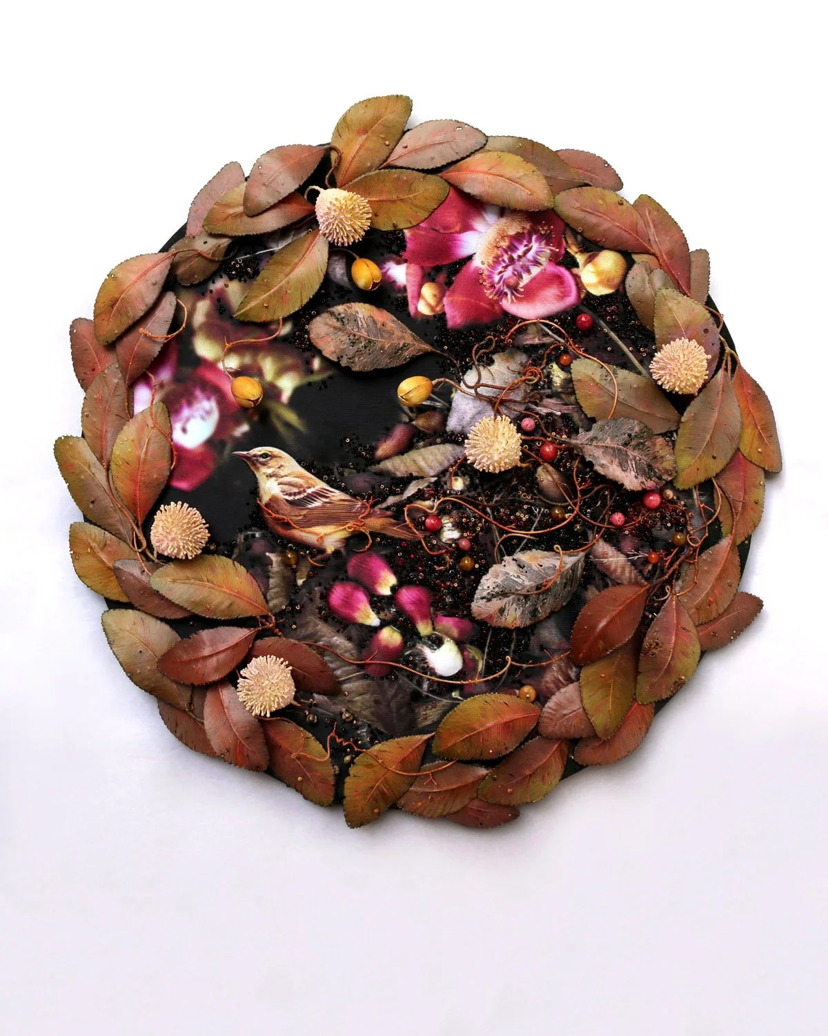 Canvas — Amy Gross