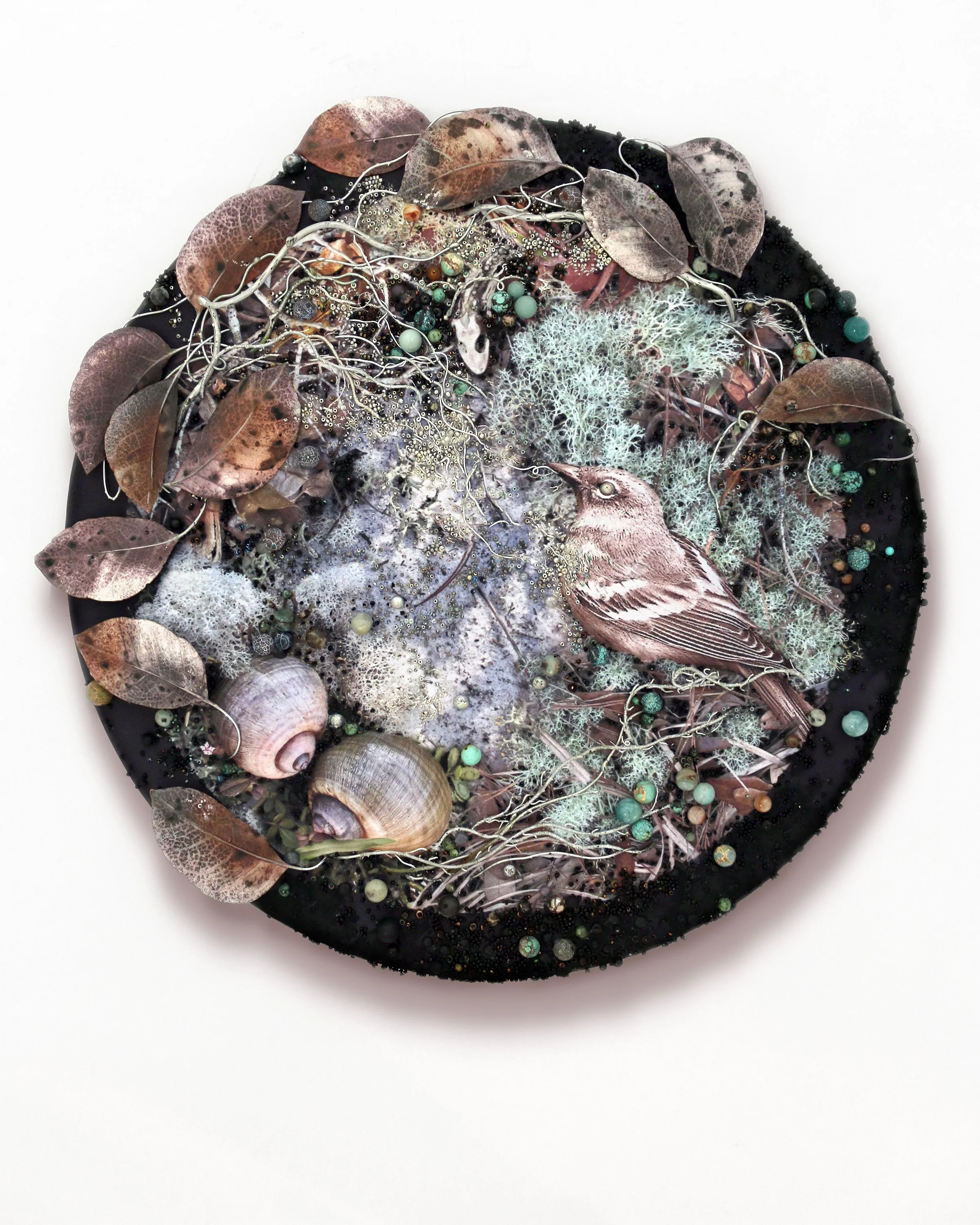 Canvas — Amy Gross
