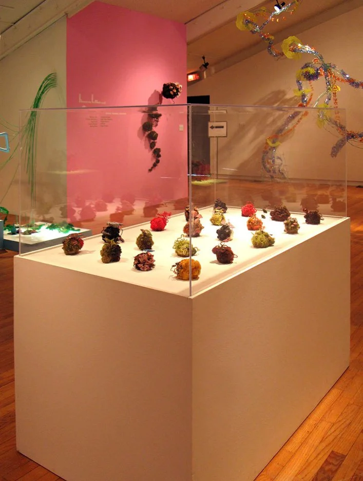 Collections — Amy Gross