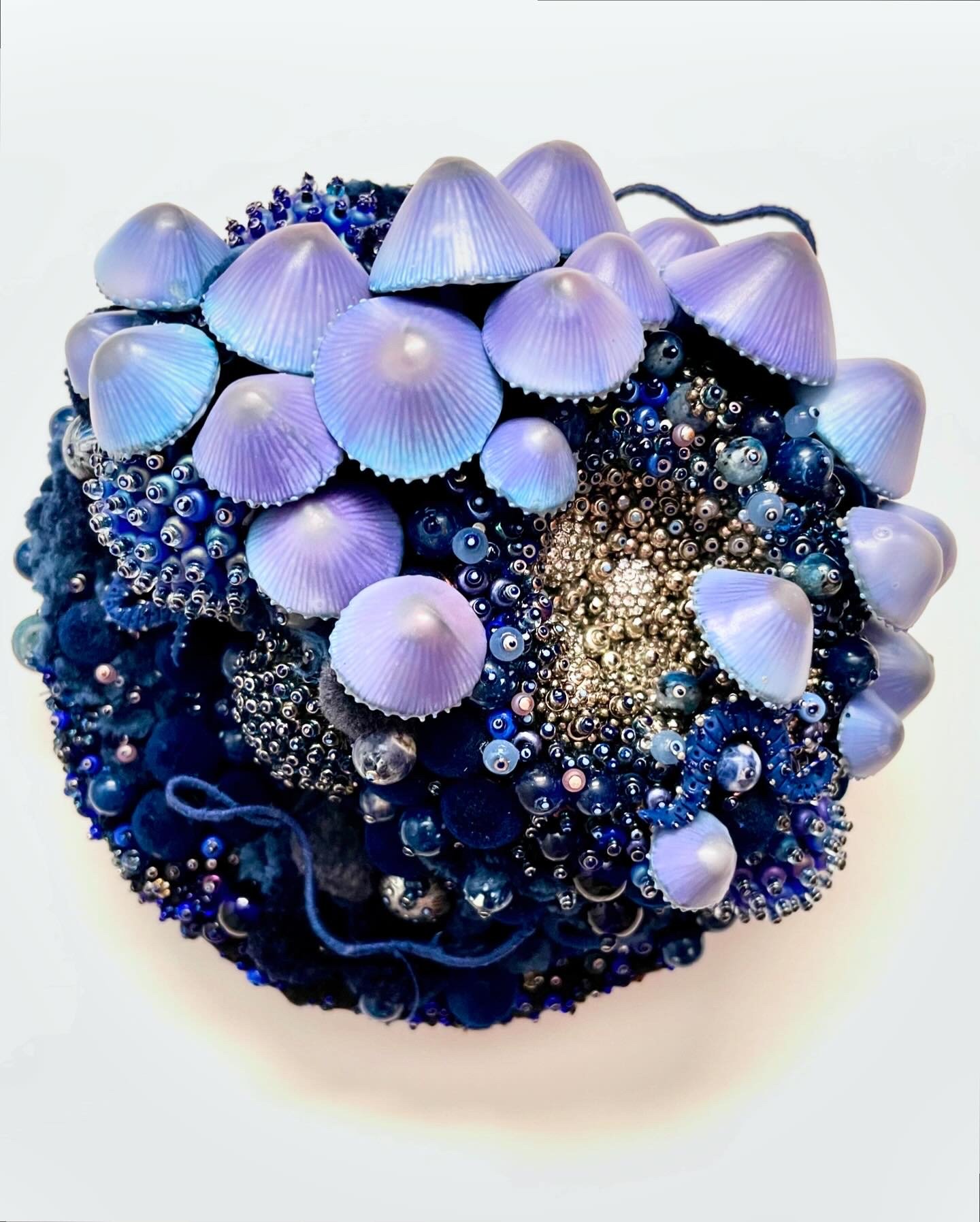 Collections — Amy Gross