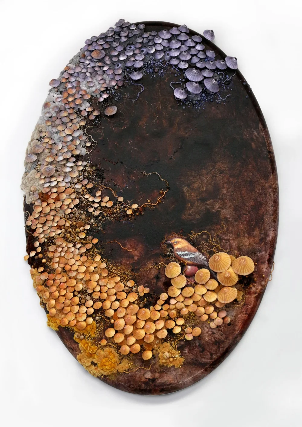 Canvas — Amy Gross