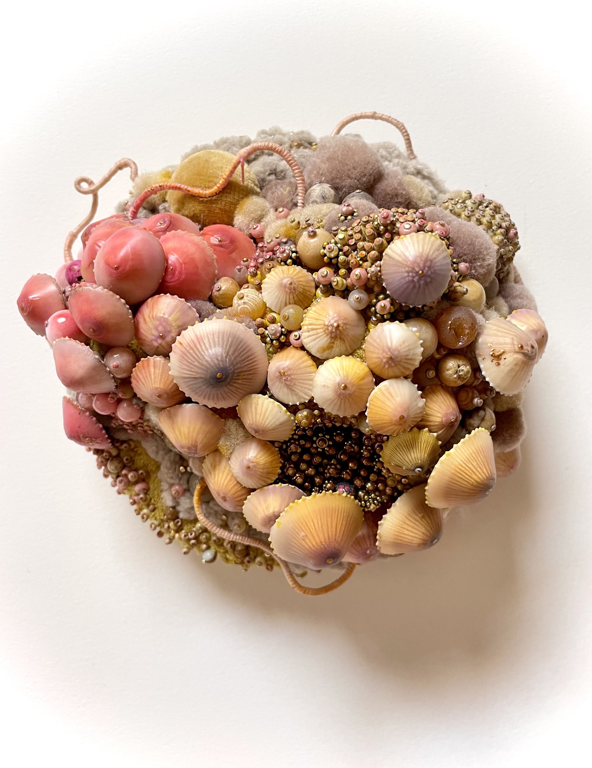 Collections — Amy Gross
