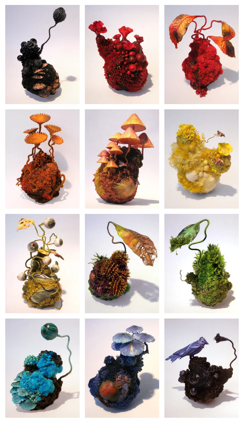 Collections — Amy Gross