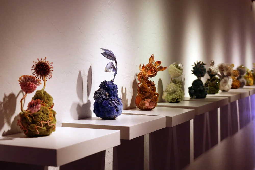 Collections — Amy Gross