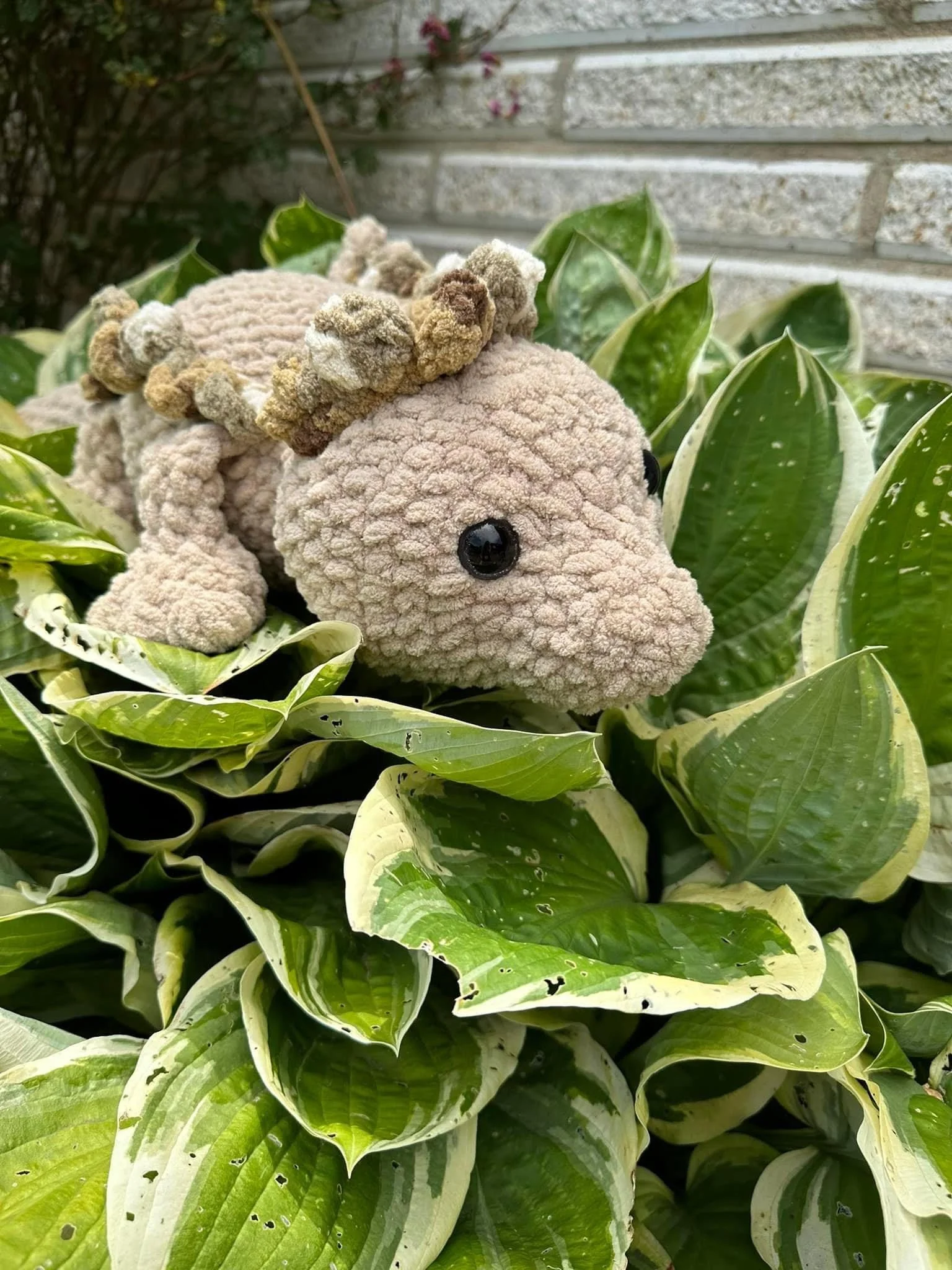 Artist interview with Marisa Gentry — Clutch Collective MOV