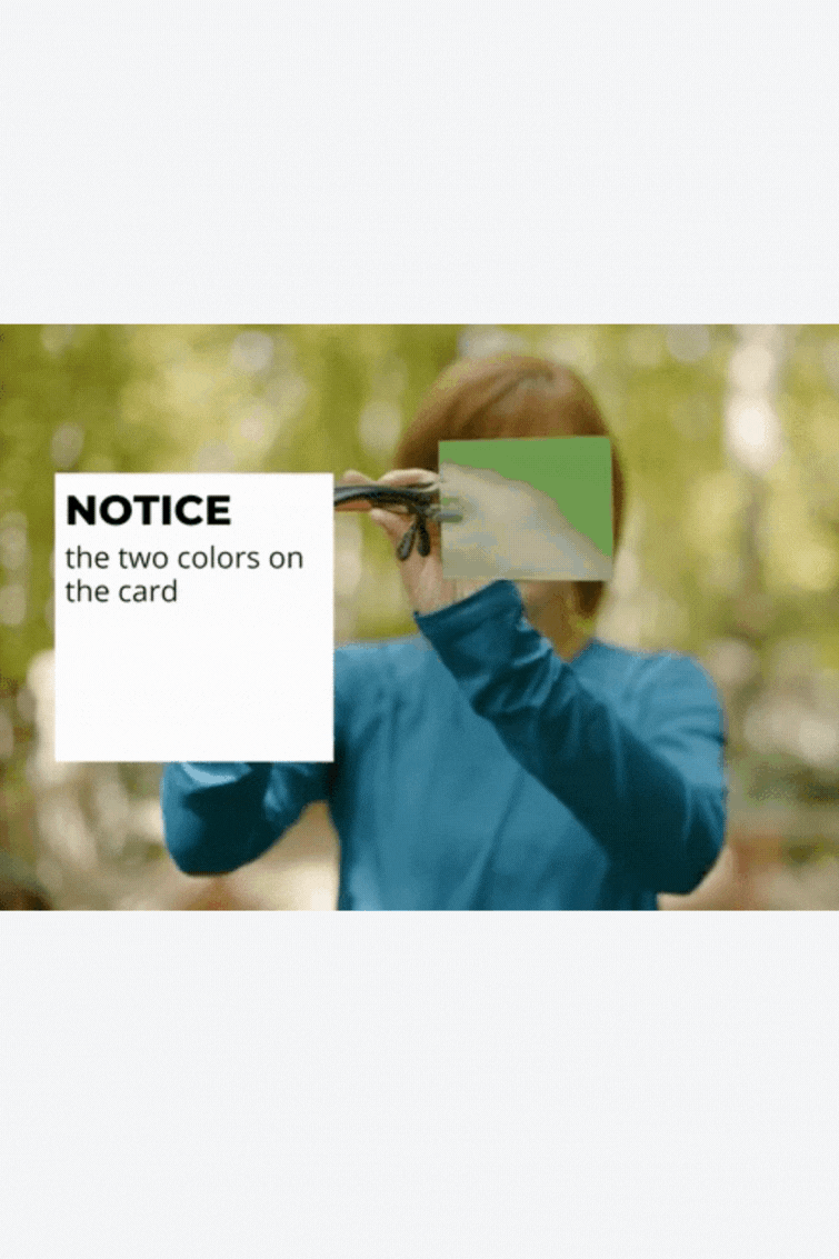 NOSE CARD SYSTEM FOR FOV SEPARATION — Overbound Eyesight