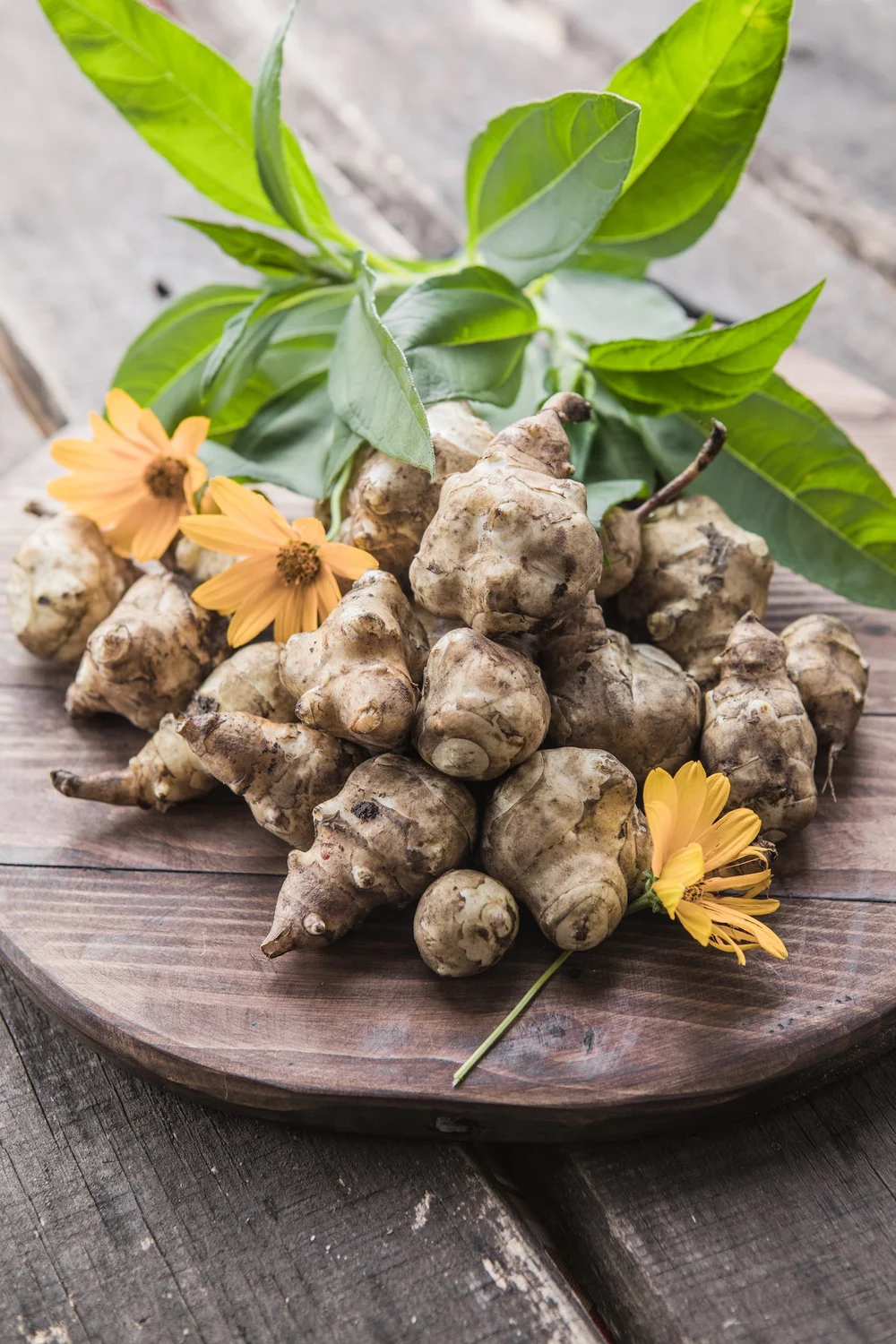 The Versatile Sunchoke — Edible Inland Northwest