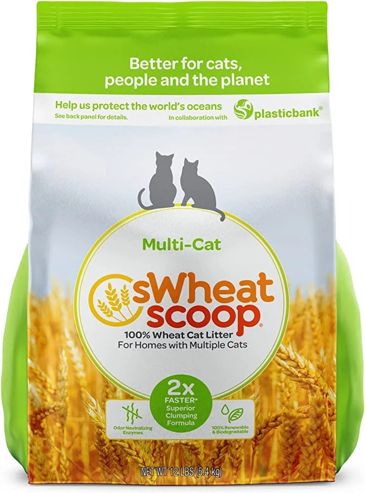 "The Ultimate Guide to Choosing the Best Cat Litter: Pros and Cons of ...