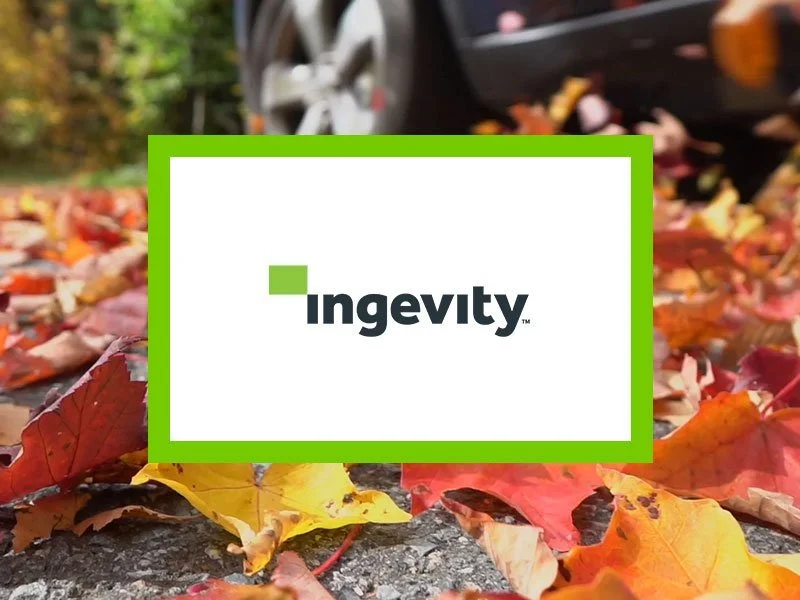 Ingevity Georgia — {powerserve}