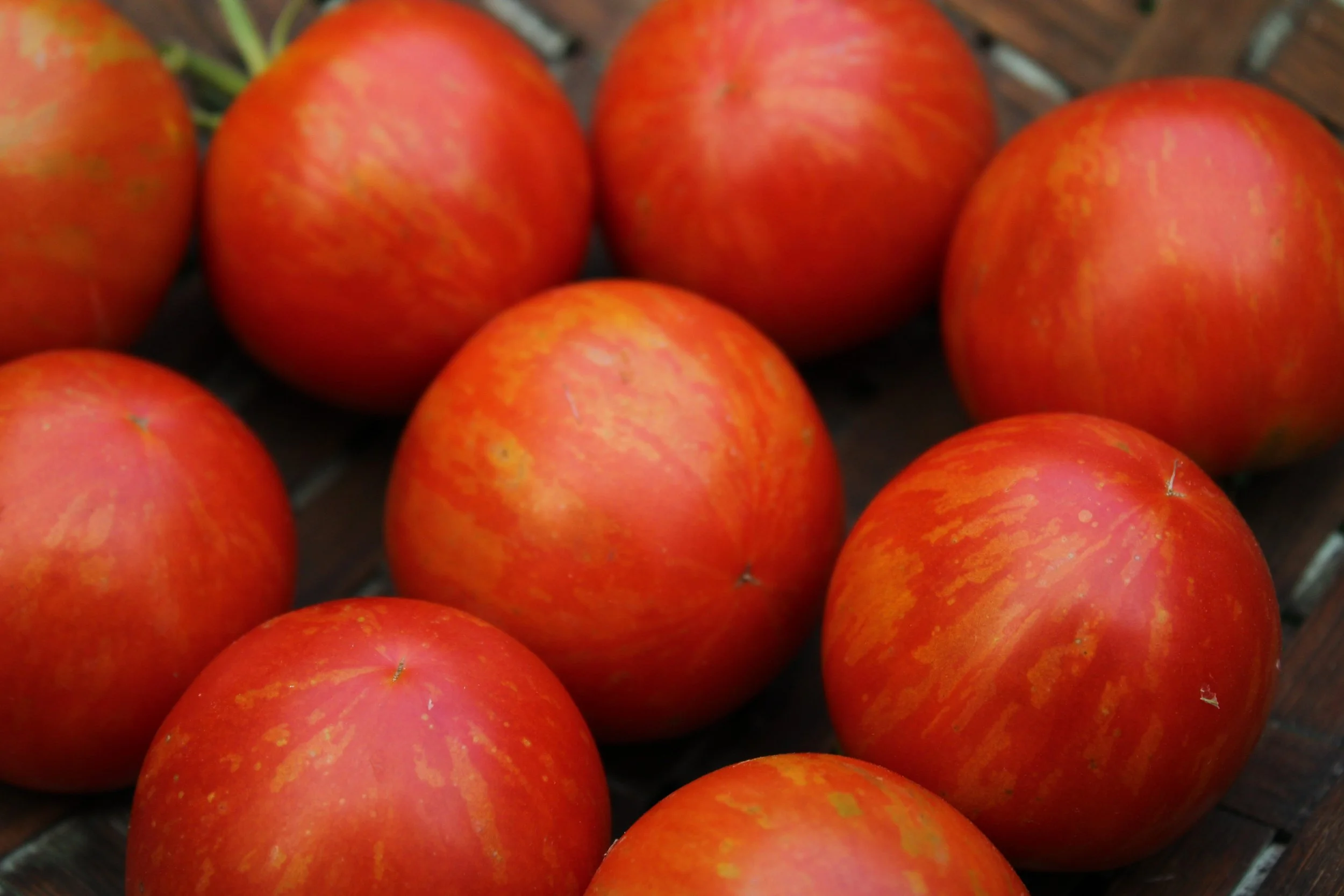 Seed Shop — Bhoomi Devi Seeds