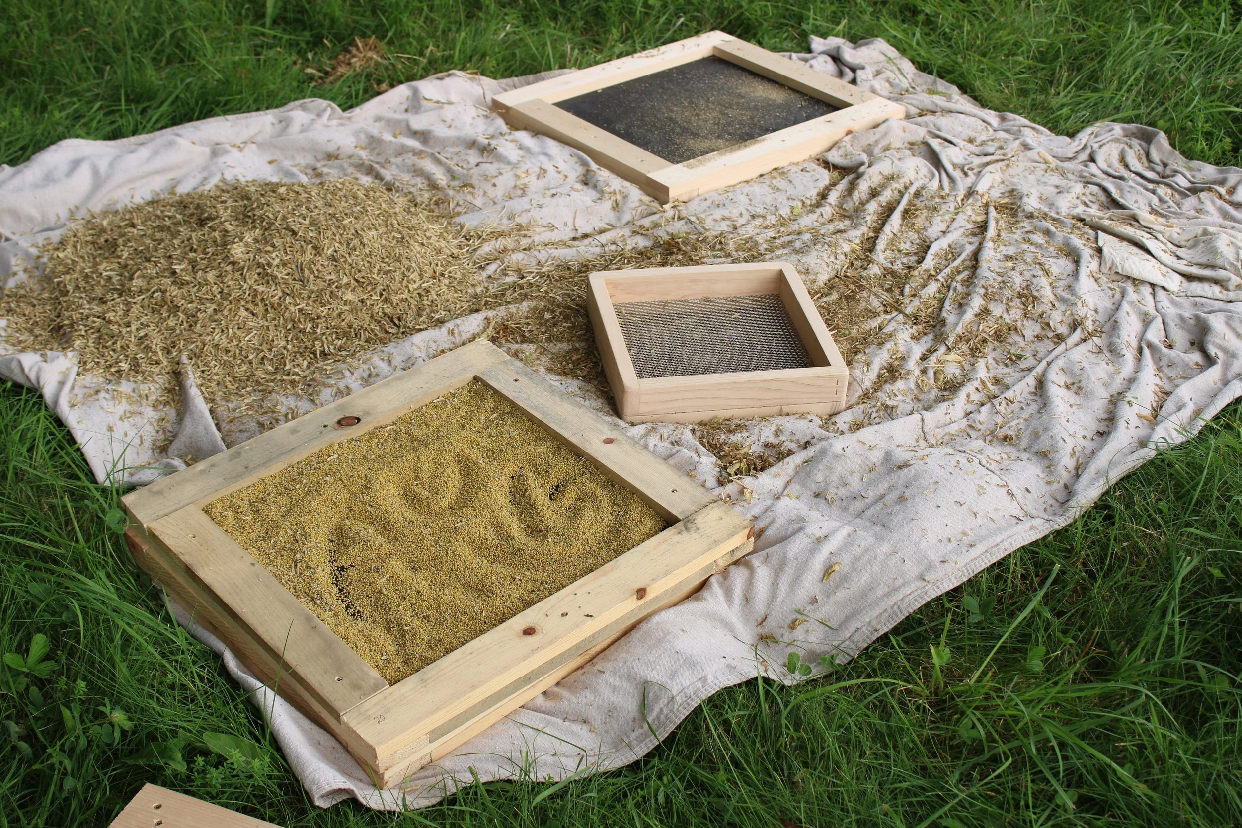 Why Open-Pollinated Seeds? — Bhoomi Devi Seeds