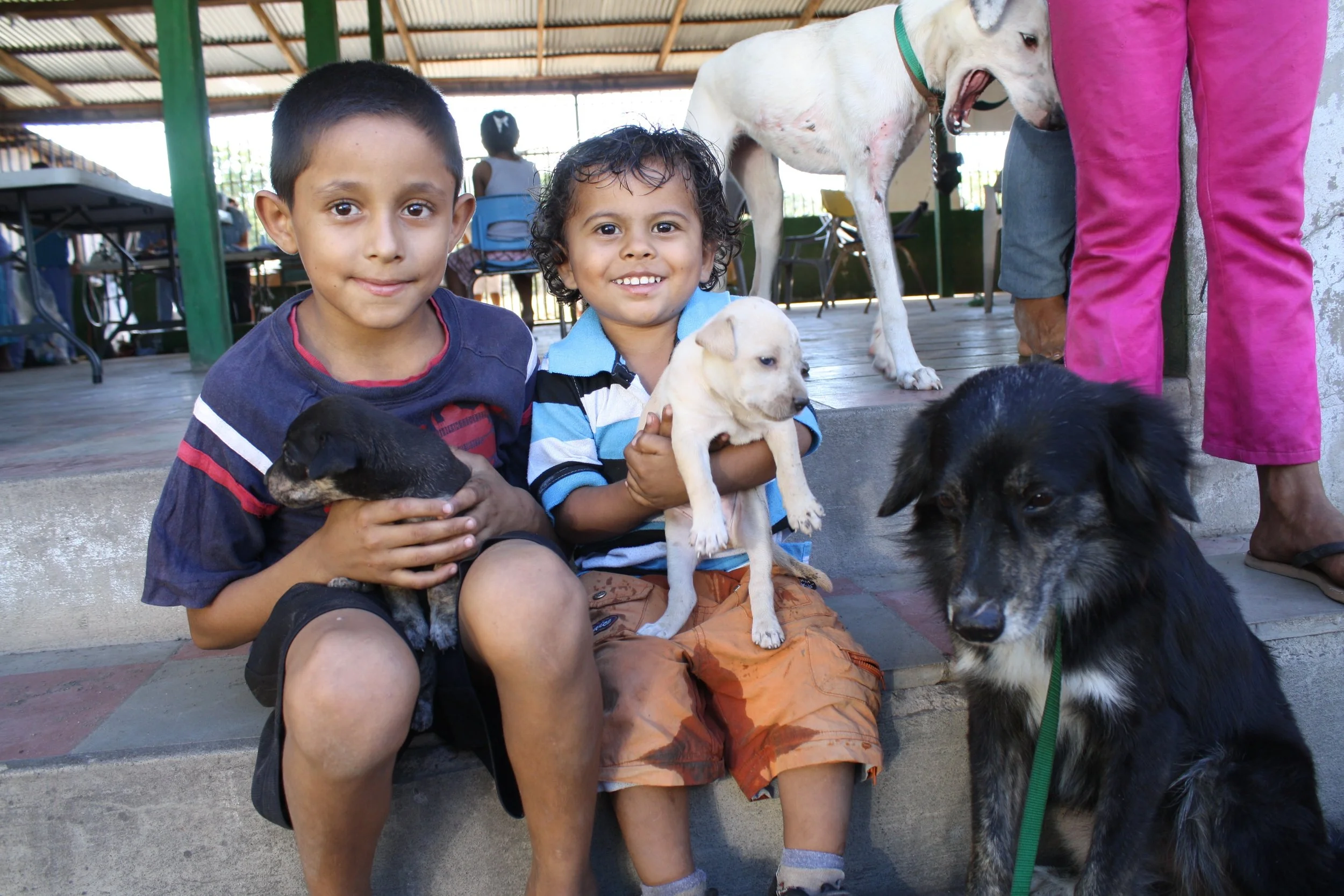 International Veterinary Outreach