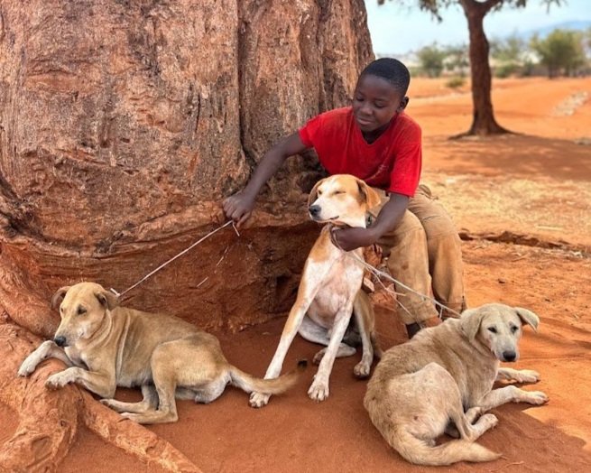 International Veterinary Outreach