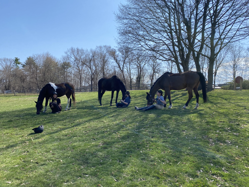 General 2 — Castle Neck Farm