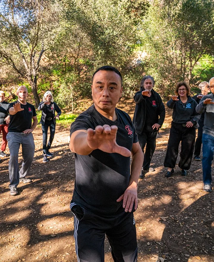Tai Chi Teachings Of Master Yun — Master Yun's Studio