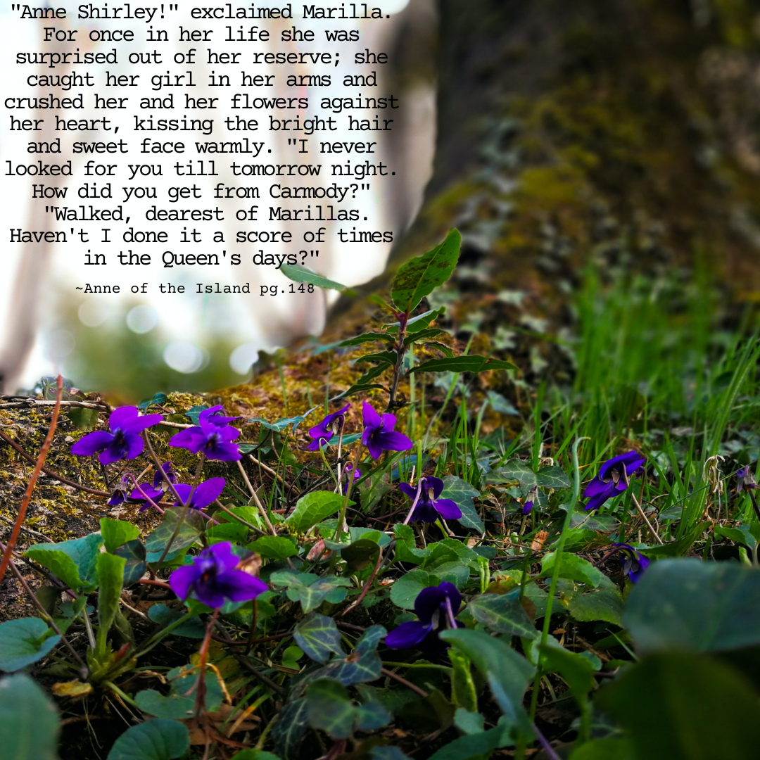 Reading Challenge: Anne of the Island — A Little Dash of Sunshine Co.