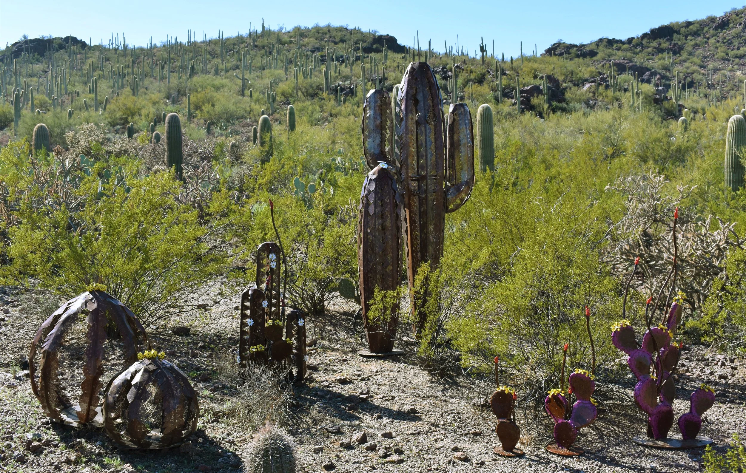 Yard Sculpture — Rusted Desert Metal Art