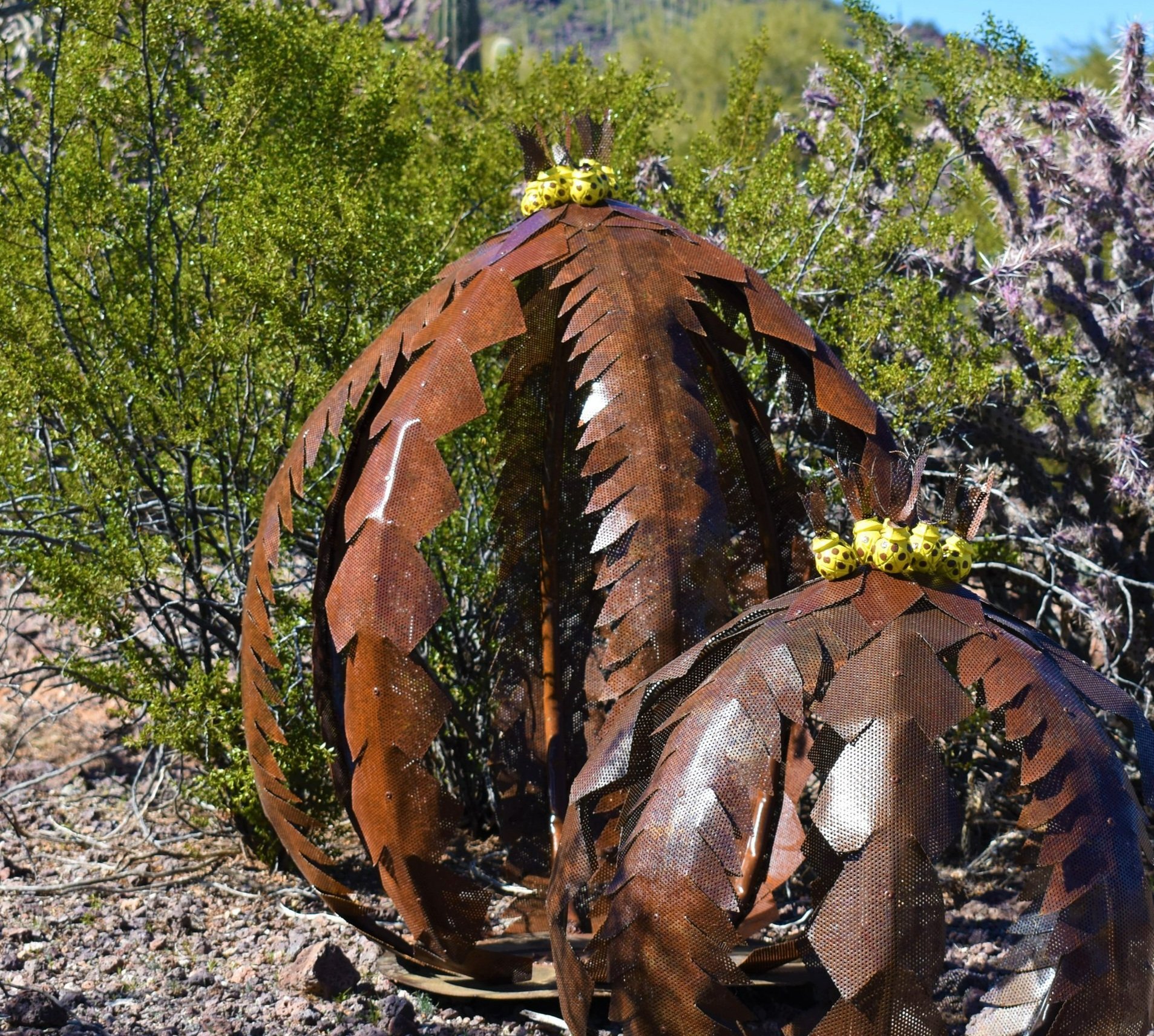 Barrel Cactus Gallery — Rusted Desert Metal Art