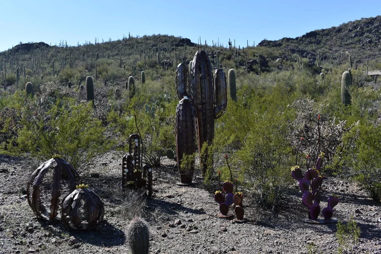 Rusted Desert Metal Art