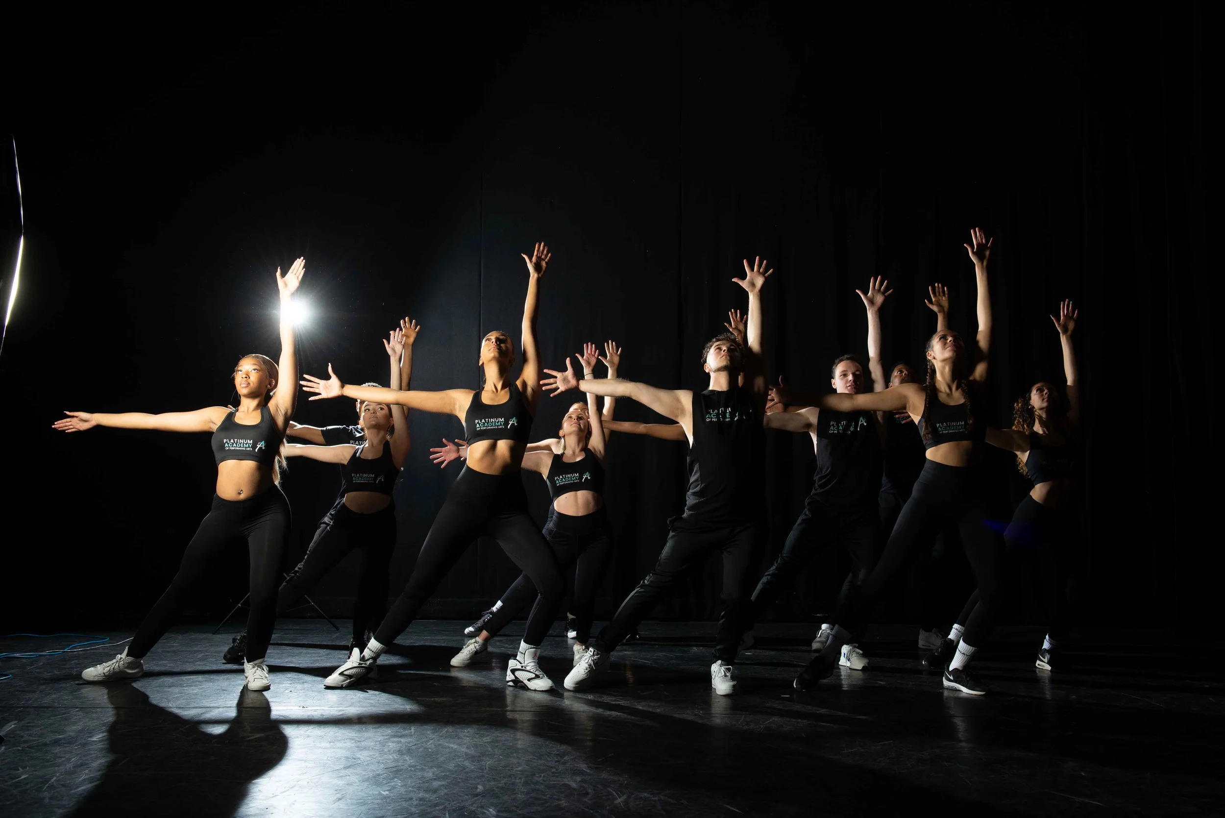 Platinum Performing Arts