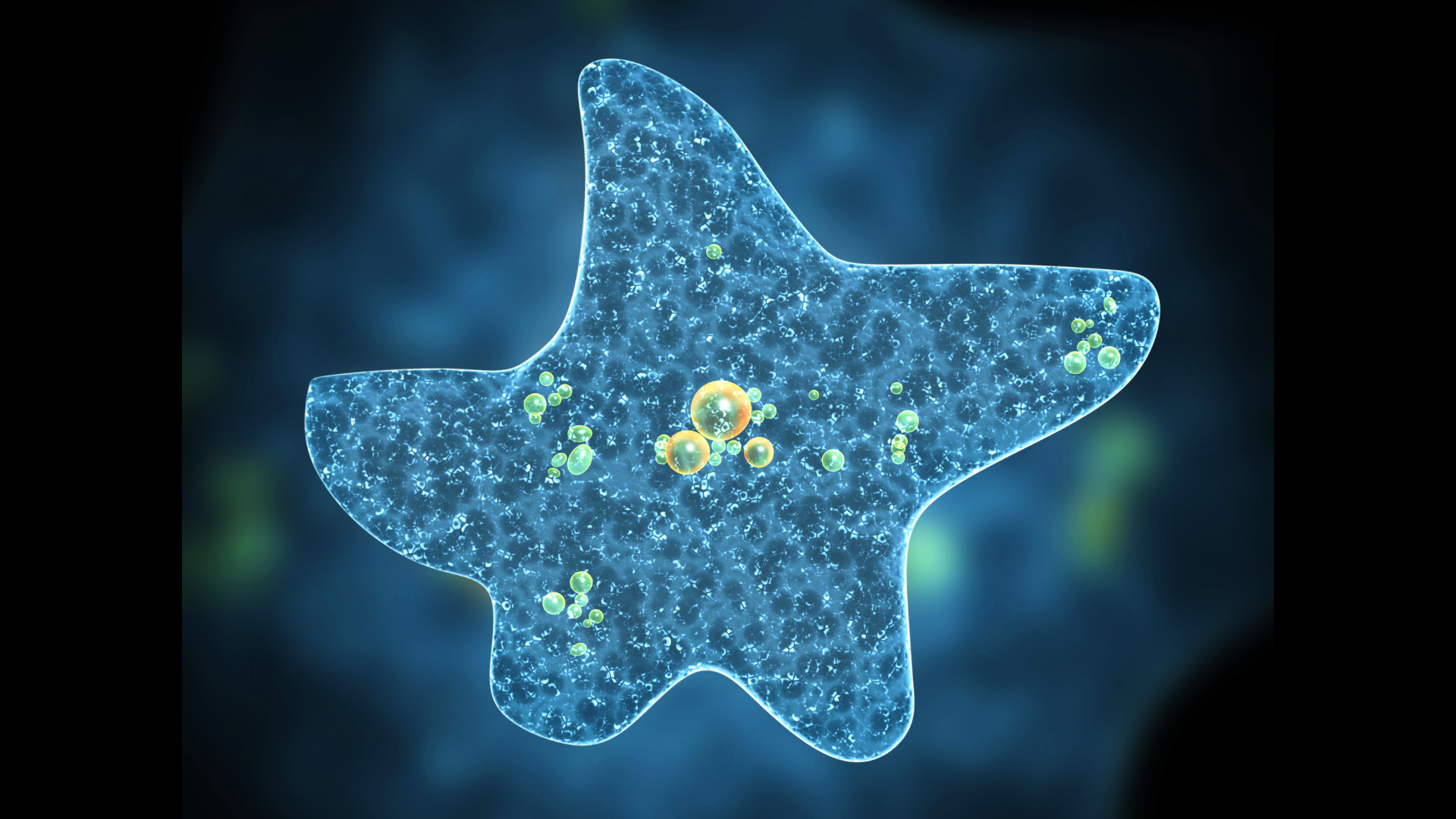 The Workforce Of The Future: HR’s Role In Managing The Amoeba — People ...