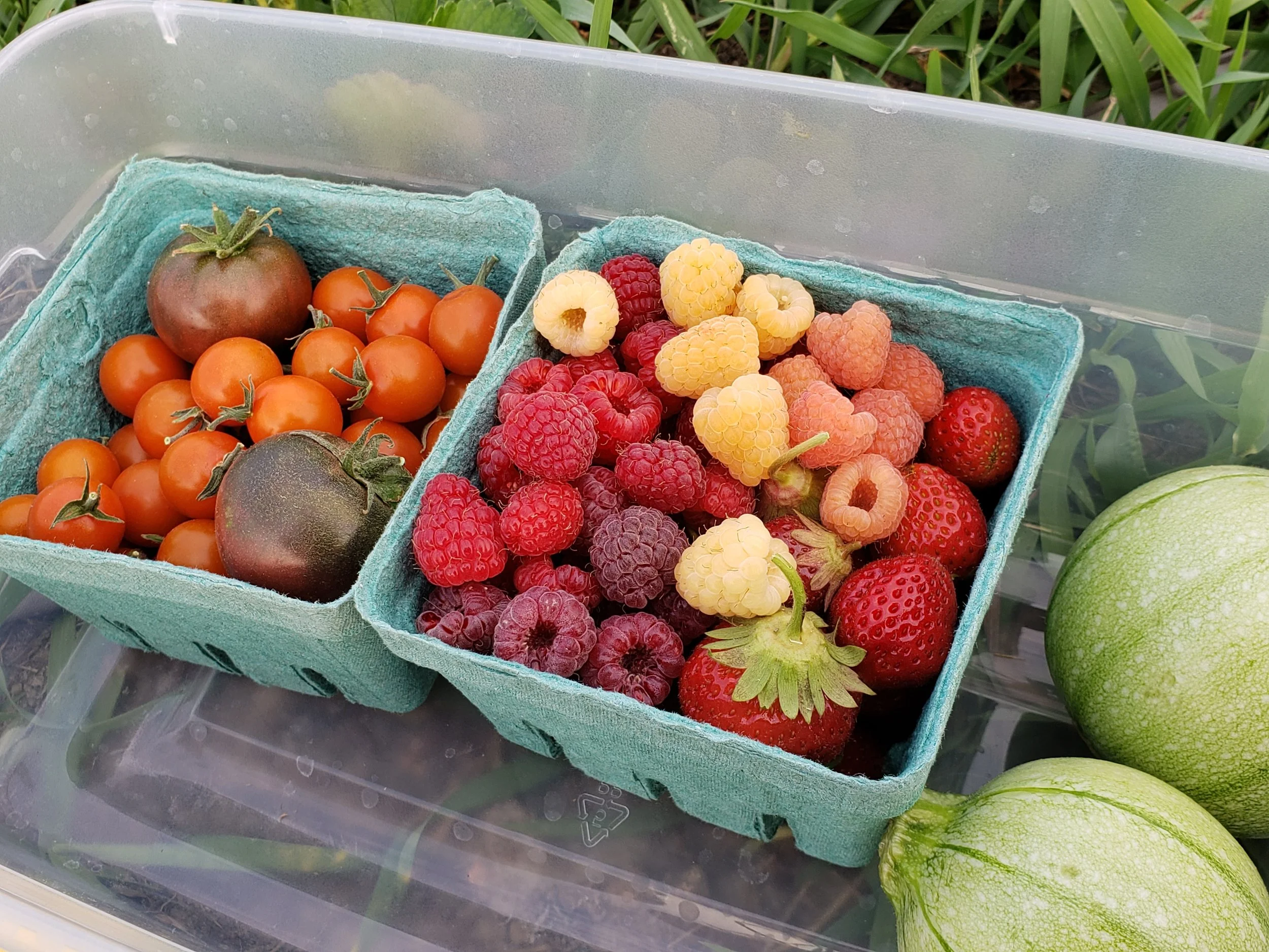 Highland Harmony Farm