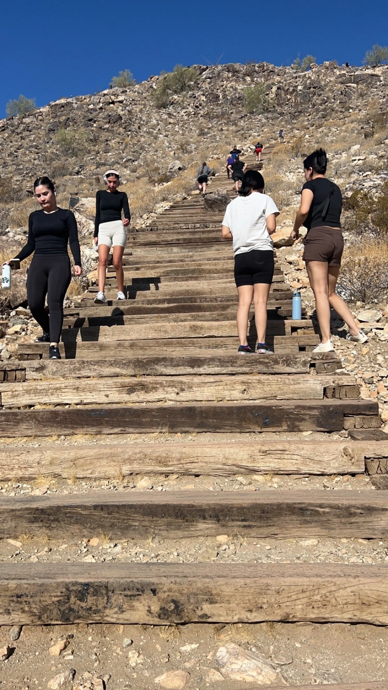 Prolific Coaching: Premium Menopause Coaching & Wellness Programs