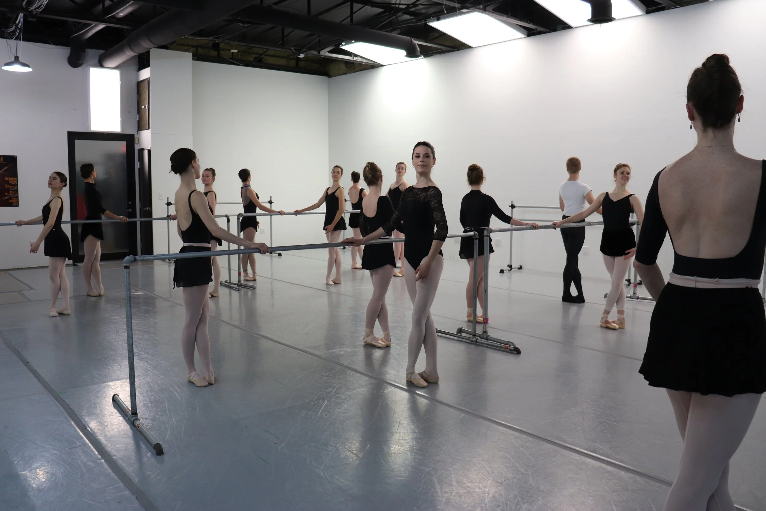 Avant Chamber Ballet - Dallas - Ballet with Live Music