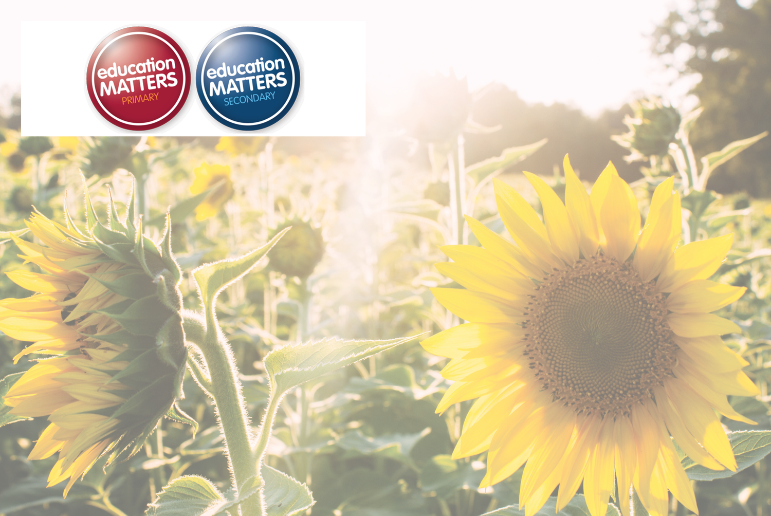 Helping principals flourish - Education Matters — The Flourish Movement®