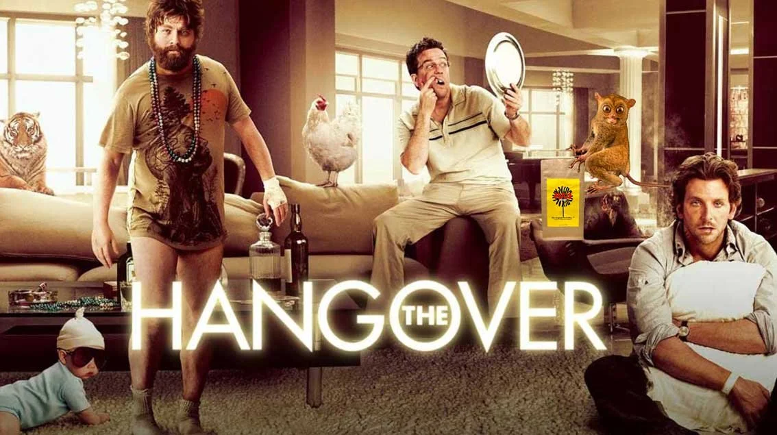 Coffee is bad for a hangover. Why you should drink Mad Dandy instead ...