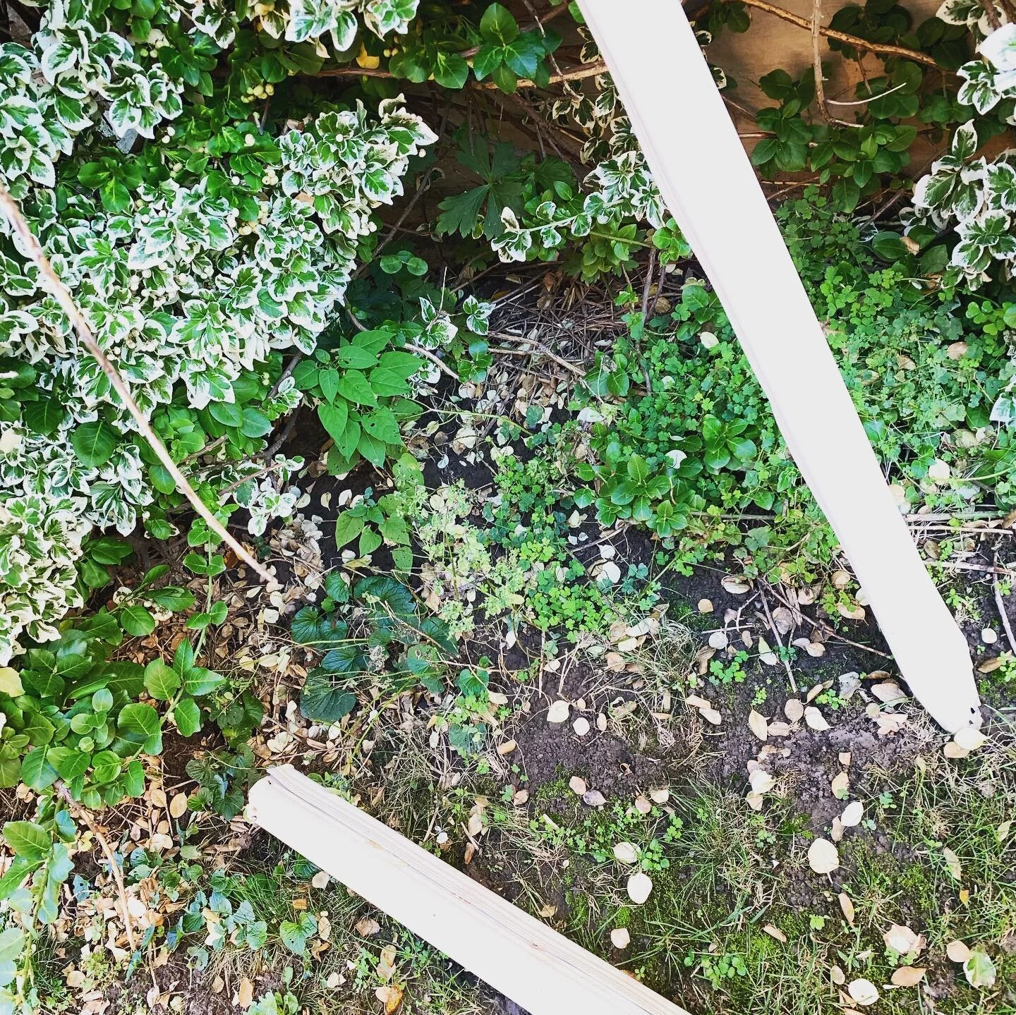 Nicholas Collister Contracting