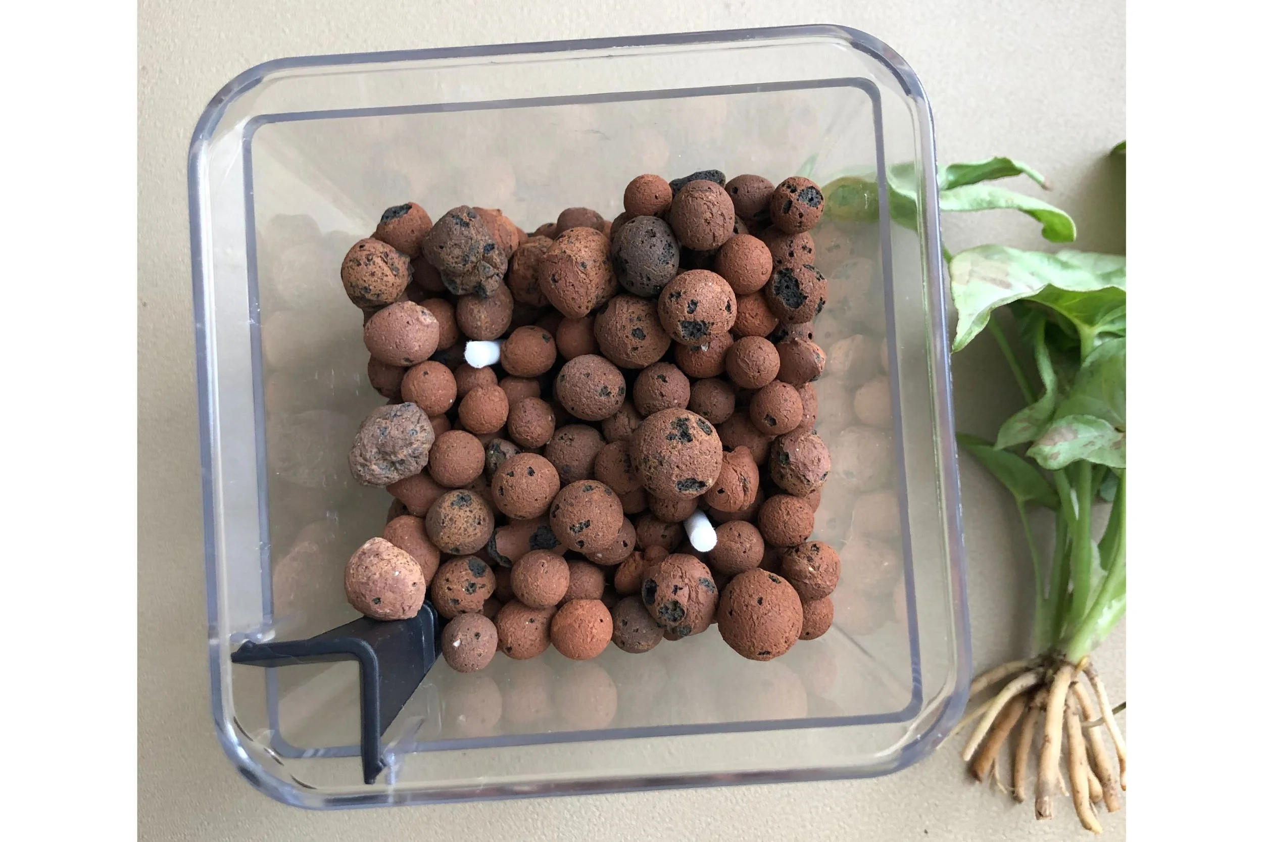 The Ultimate Guide to Using LECA for Semi-Hydroponics and Potting Mixes ...