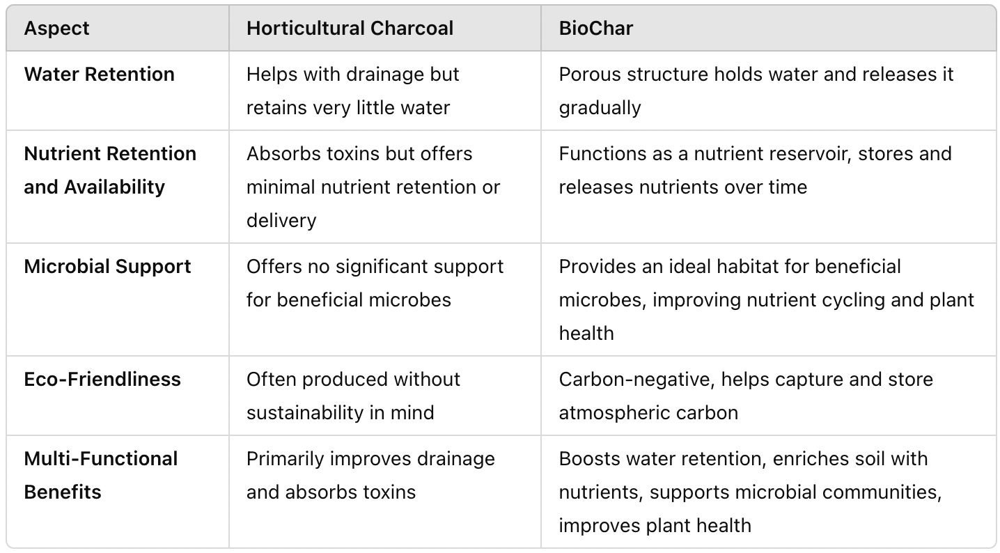 BioChar vs Charcoal — Tropics in the City