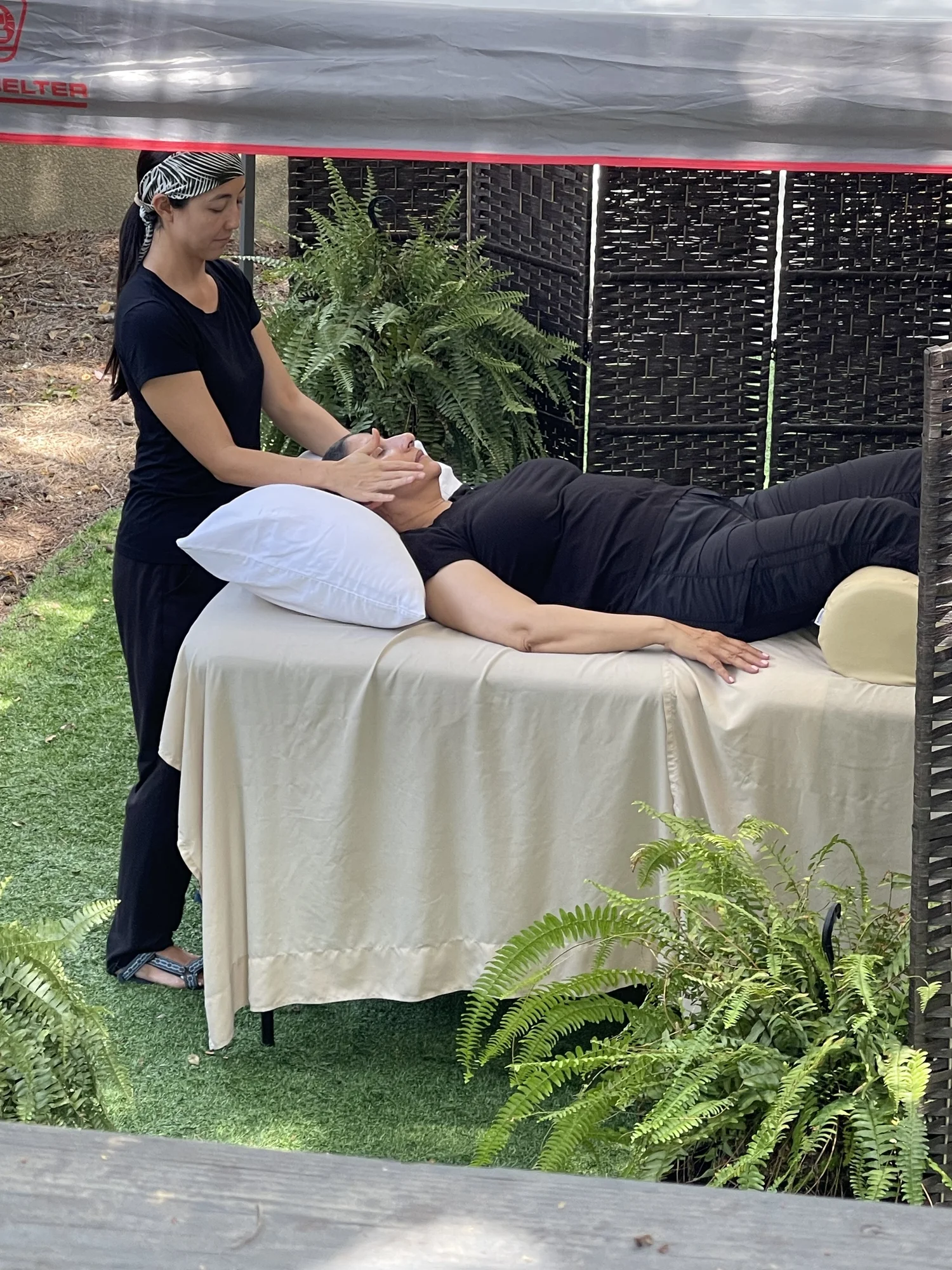 The Wellness Spot
