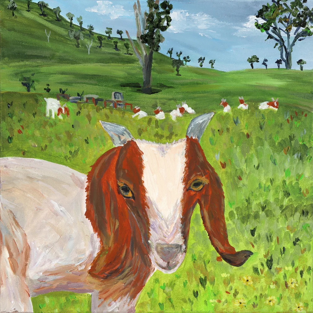 Rachel Rae Art | Shop