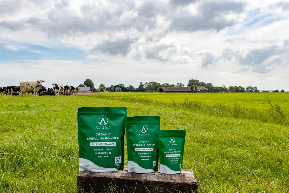 The Product — Aligma