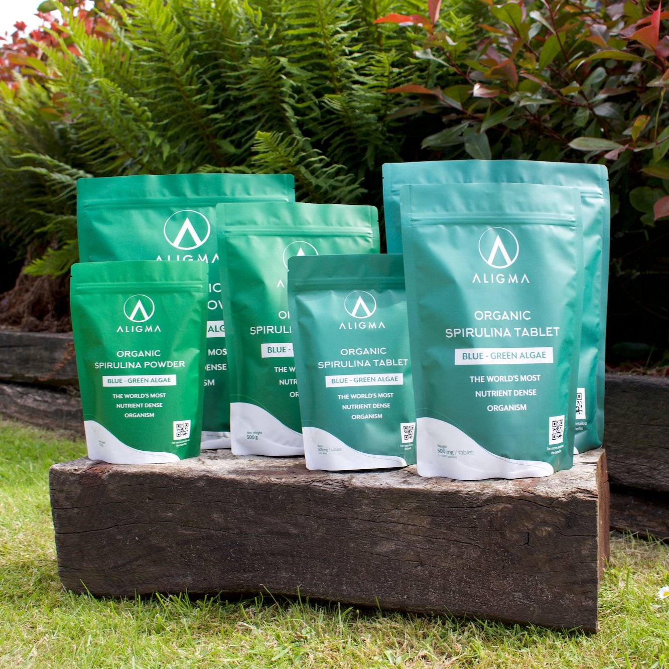 The Product — Aligma